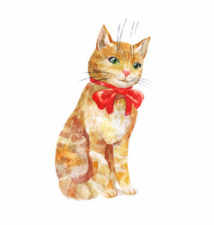 Watercolor cute cat Royalty Free Vector Image - VectorStock