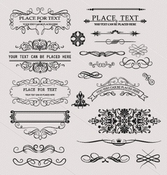 Calligraphic design Royalty Free Vector Image - VectorStock