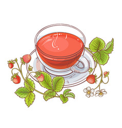 Strawberry Royalty Free Vector Image - VectorStock