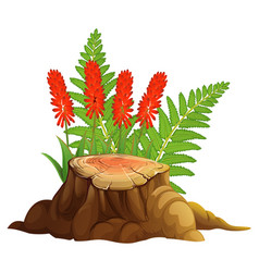 Hand holding colorful flowers on white background Vector Image