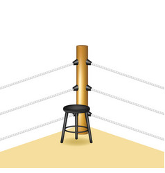 Boxing ring isolated on white background Vector Image
