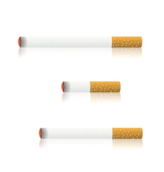 Alcohol and cigarettes Royalty Free Vector Image