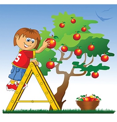 Cartoon boy picking apples from apple tree Vector Image