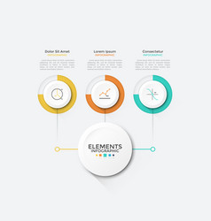 Business hierarchy infographic organization chart Vector Image
