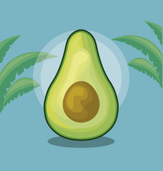 Fresh avocado with leafs nature Royalty Free Vector Image