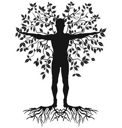 Green leaves tree branch Royalty Free Vector Image