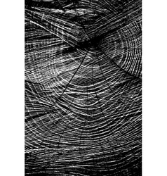 Vertical dry wood texture Royalty Free Vector Image