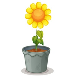 Pot plant Royalty Free Vector Image - VectorStock
