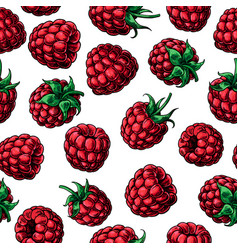 Raspberry seamless pattern drawing Royalty Free Vector Image