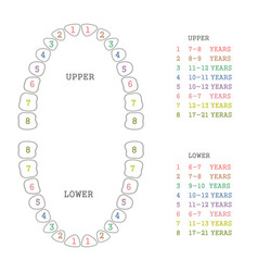Teeth brushing incentive chart child dental Vector Image