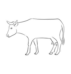 Drawing of a continuous line of cattle Royalty Free Vector