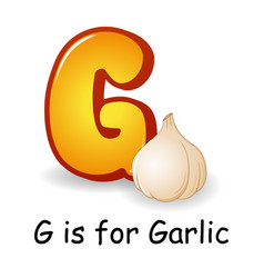 Vegetables alphabet g is for ginger Royalty Free Vector
