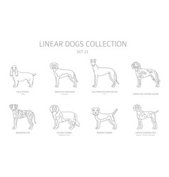 Simple line dogs collection isolated on white dog Vector Image