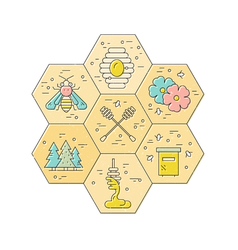 Honey patterns Royalty Free Vector Image - VectorStock