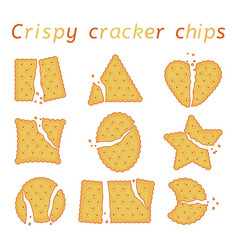 Set broken baked cracker chips Royalty Free Vector Image