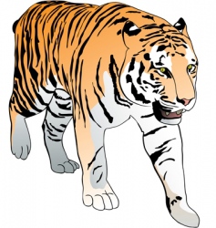 Tiger Royalty Free Vector Image - VectorStock