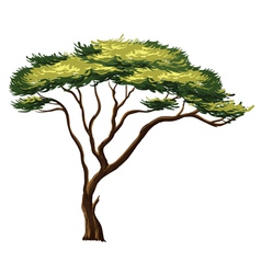 Fun hand drawn african plants and trees design Vector Image
