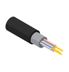 Fiber cable icon isometric icon Royalty Free Vector Image