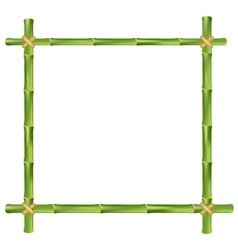 Bamboo frame Royalty Free Vector Image - VectorStock