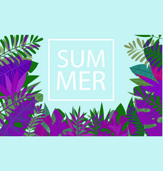 Orchid summer tropical flower Royalty Free Vector Image