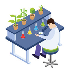 Botany experiment Royalty Free Vector Image - VectorStock