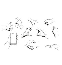 Hands doodles expression gestures human hands Vector Image