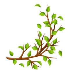 Spring tree with flowers and leaves seasonal Vector Image