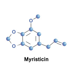 Myristicin is a phenylpropene organic compound Vector Image