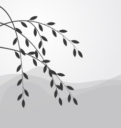 Willow tree Royalty Free Vector Image - VectorStock