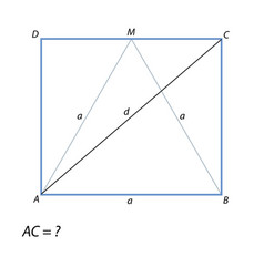 Task of finding a diagonal rectangle abcd Vector Image