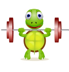 Running turtle Royalty Free Vector Image - VectorStock