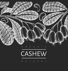 Hand drawn sketch cashew design template organic Vector Image