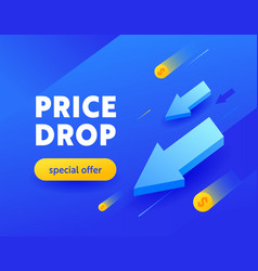 Price drop special offer advertising banner Vector Image