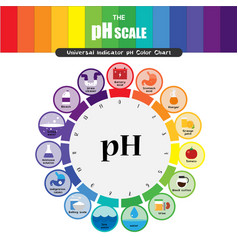 Ph scale universal indicator ph color chart Vector Image