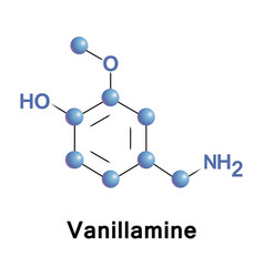 Vanillamine molecular structure Royalty Free Vector Image