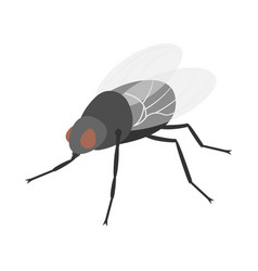 Mosquito side Royalty Free Vector Image - VectorStock