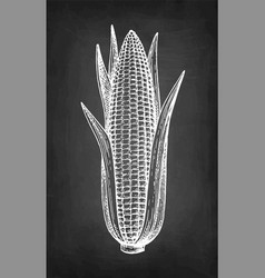Chalk sketch set corn Royalty Free Vector Image