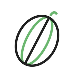 Rockmelon Royalty Free Vector Image - VectorStock