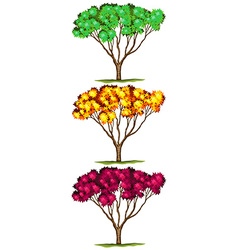 Diagram showing three generation family tree Vector Image