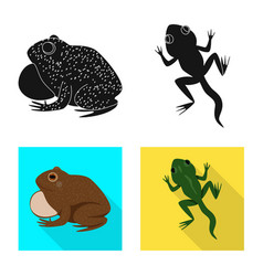 Design wildlife and bog sign collection Royalty Free Vector