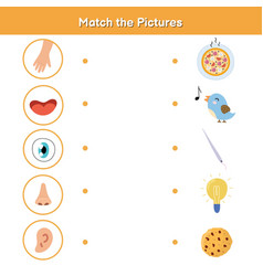 Five senses matching game for kids sight touch Vector Image