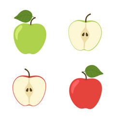 Bright set colorful half and whole of Royalty Free Vector