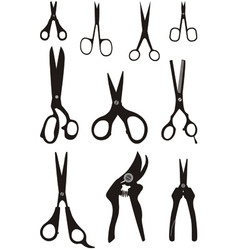Scissors graphic design template isolated Vector Image