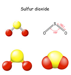 State of matter molecule in gas liquid solid Vector Image