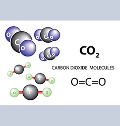 Carbon dioxide molecules Royalty Free Vector Image