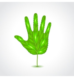 Human hand bones isolated Royalty Free Vector Image