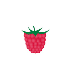 Object raspberry Royalty Free Vector Image - VectorStock