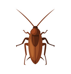 Red cockroach insect pest control and Royalty Free Vector