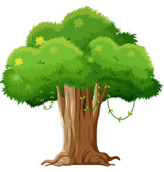 Isolated tree on white background Royalty Free Vector Image