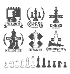 Set chess labels badges and design elements Vector Image